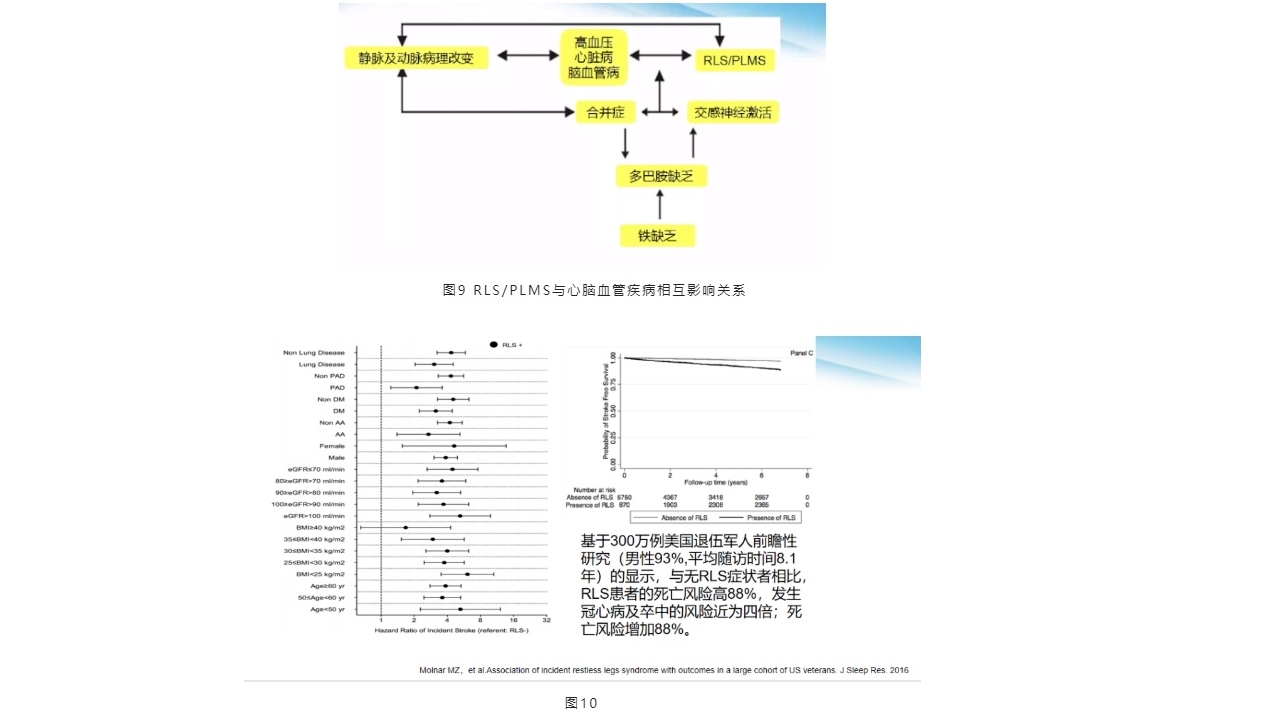 薛蓉教授：睡眠障碍对神经系统疾病的影响（上)_睡眠障碍