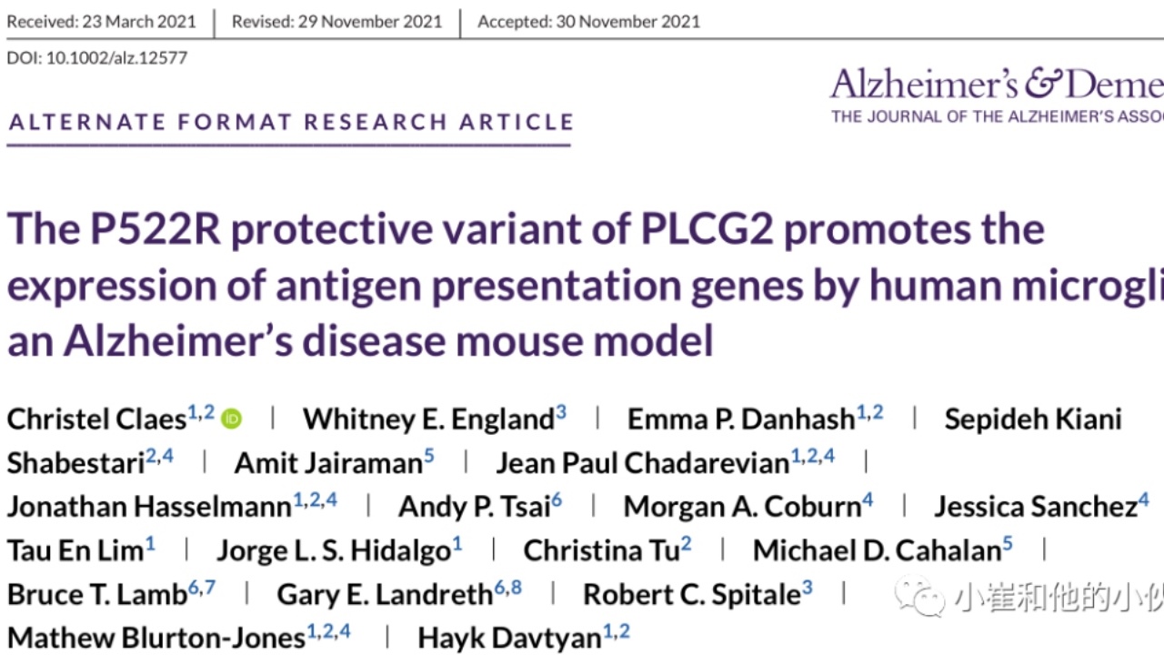 PLCG2突变通过促进小胶质细胞抗原呈递能力降低AD风险_阿尔茨海默病