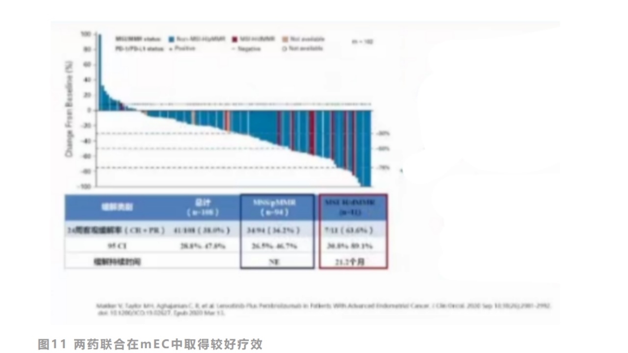 妇科肿瘤免疫治疗的研究进展_子宫肿瘤